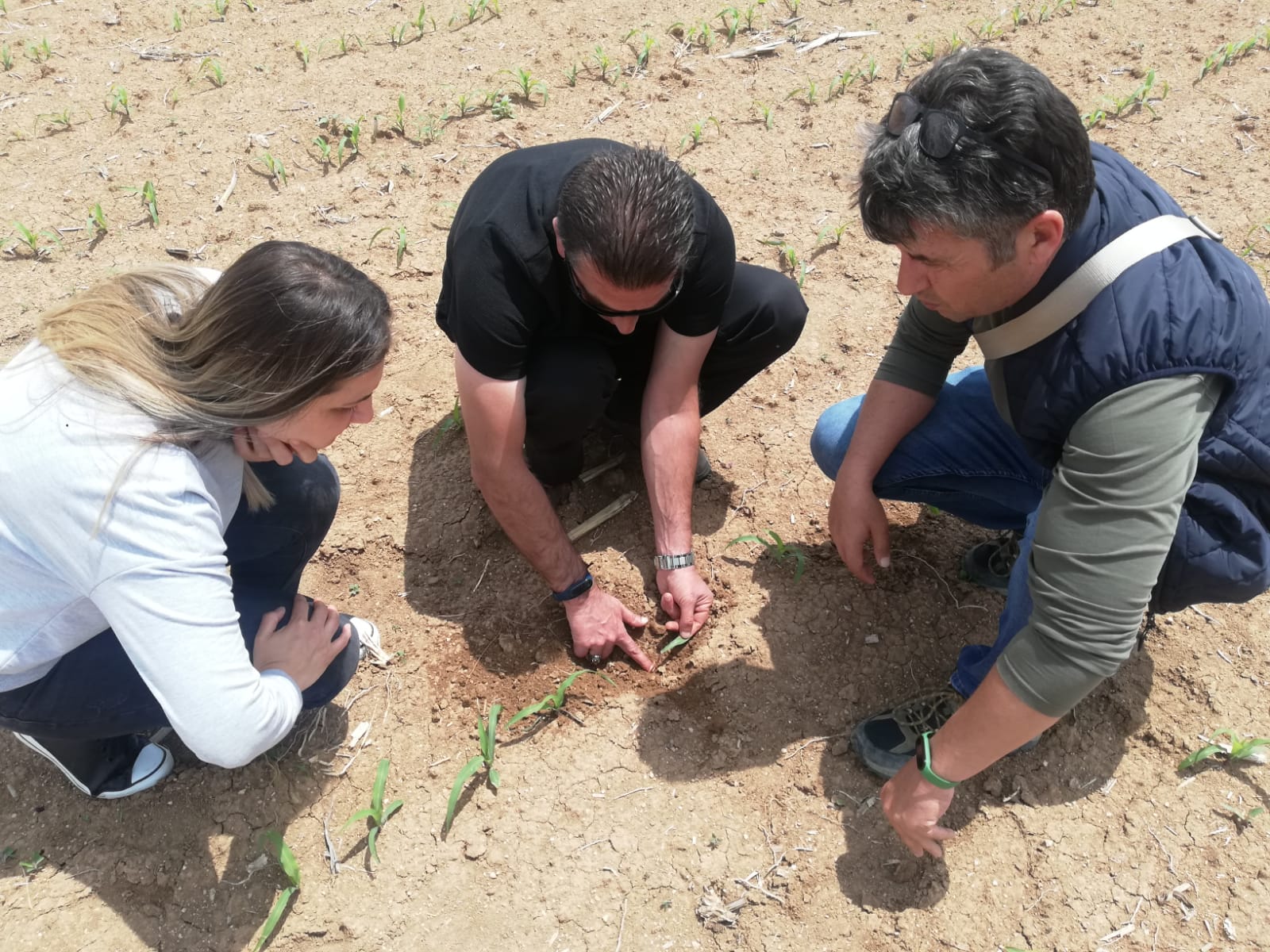 Karaman Tarım ve Orman Müdürlüğünden tel kurdu ve bozkurt uyarısı ...