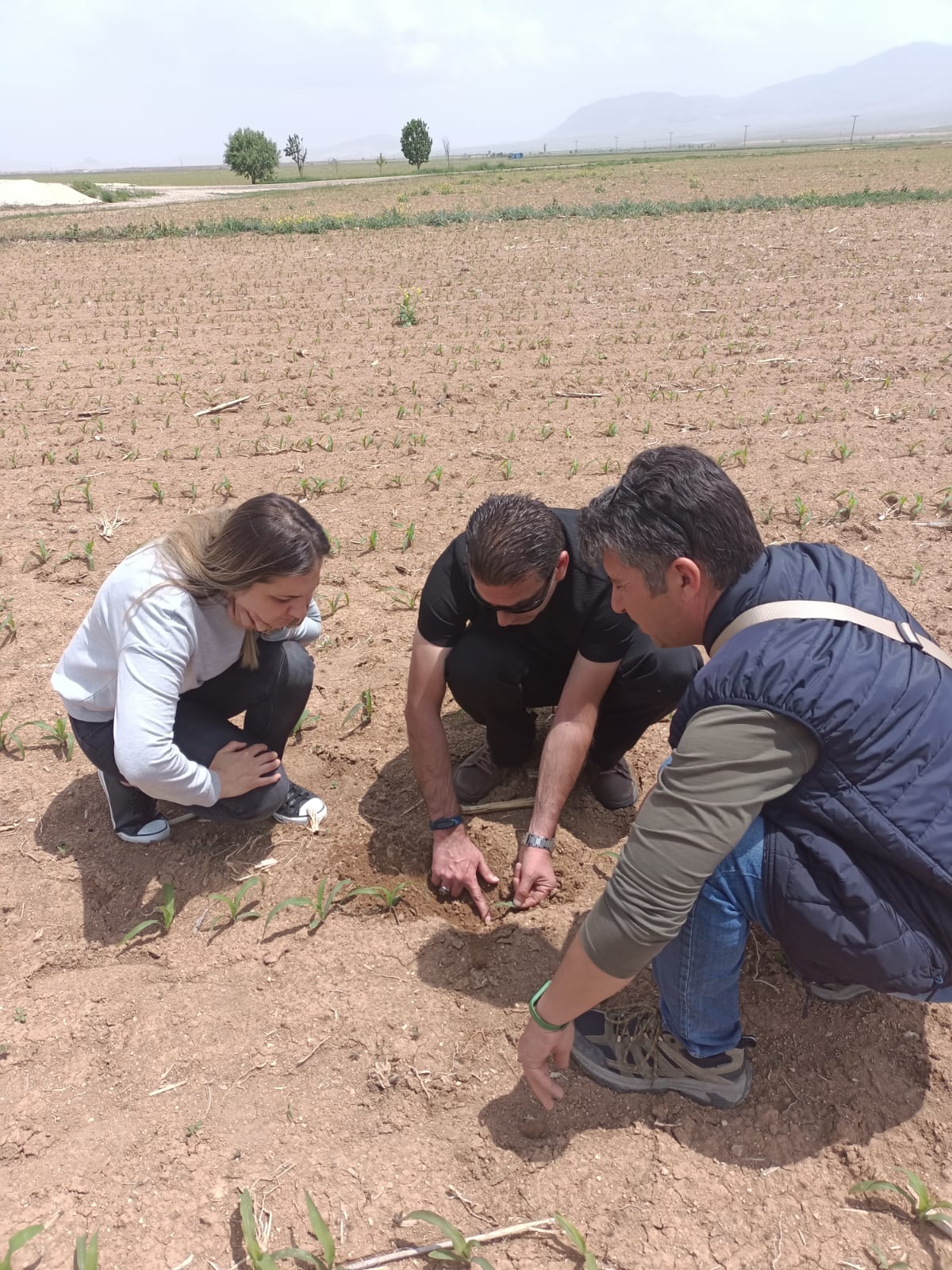Karaman Tarım ve Orman Müdürlüğünden tel kurdu ve bozkurt uyarısı ...